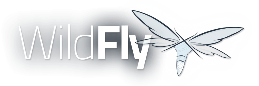 Lan amento Do Servidor WildFly